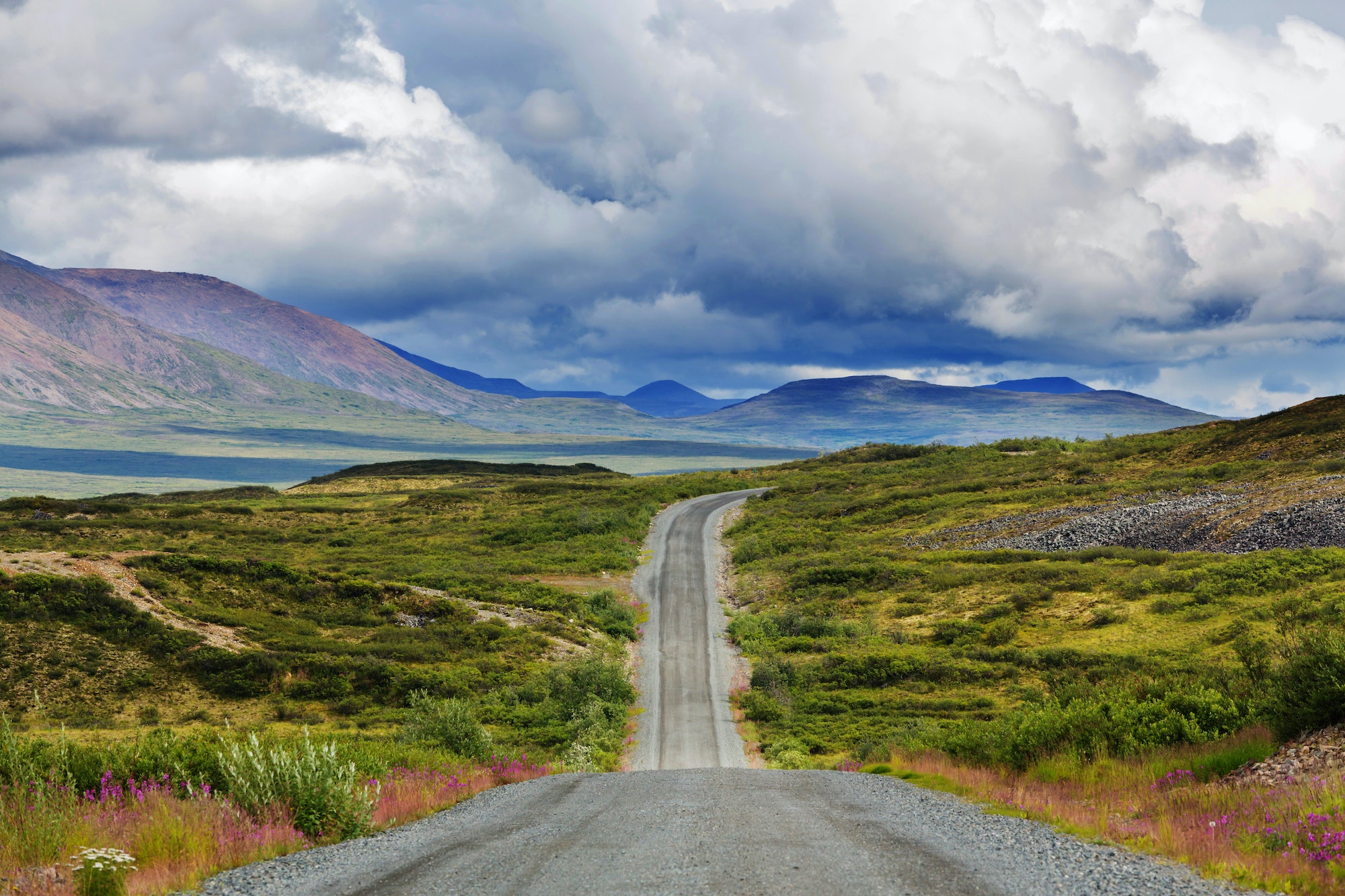 Gallery – Denali Highway